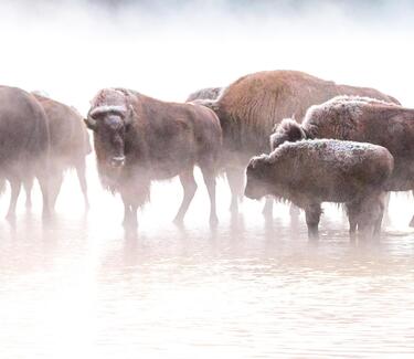 Programs – Darwin's Exotic Animal Rescue