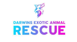 Darwin's Exotic Animal Rescue