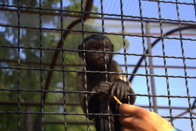 Darwin's Exotic Animal Rescue