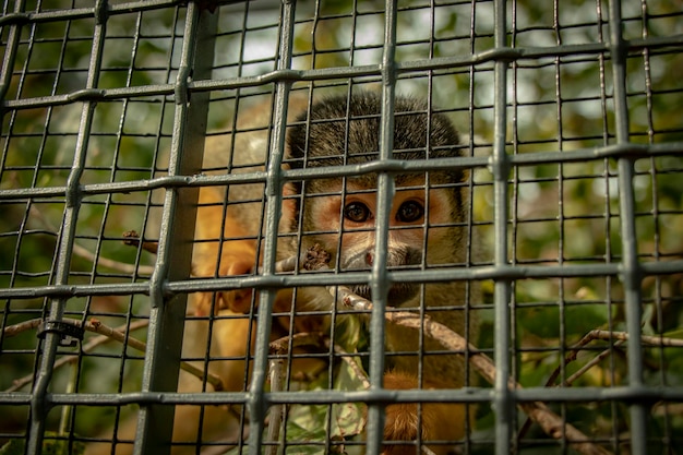 Darwin's Exotic Animal Rescue